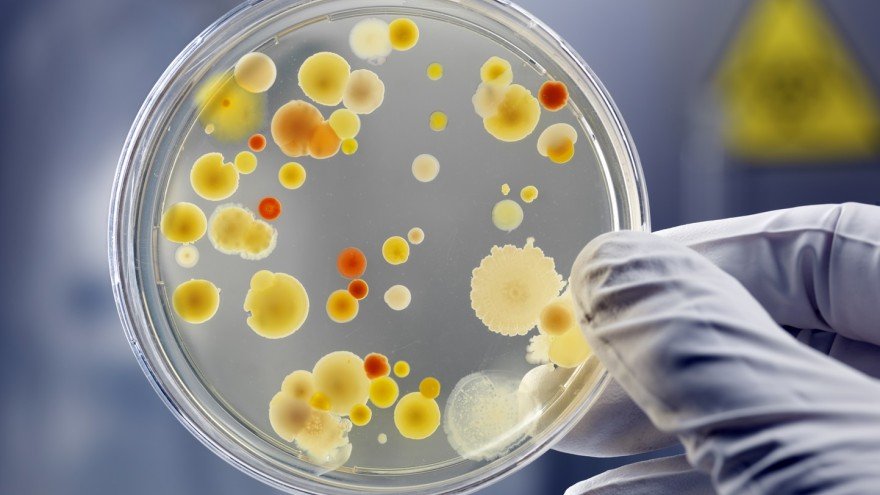 Pathogeen isolaten leiden tot nog veiligere voeding | FoodPro Network