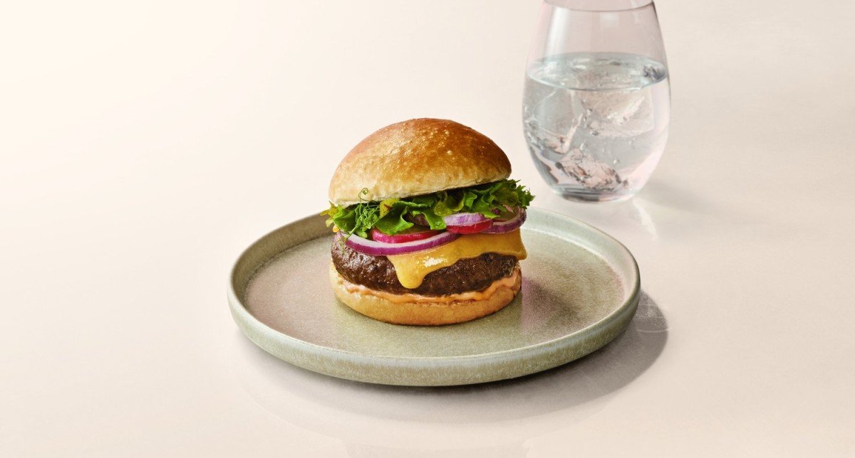 Mosa Meat trekt nog eens voor 40 miljoen euro kapitaal aan | FoodPro ...